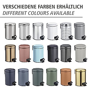 WENKO Basket, 0.79 Gal, Small Trash Can with Lid and Pedal, Garbage Bin for Bathroom with Removable Inner Bucket, Stainless Steel, Easy Close, 9.84 x 8.86 x 6.69, Silver