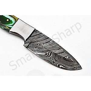 Smart & Sharp Custom Handmade Damascus Steel Hunting Knife/Skinning Knife AA-17227, 17228, 17229, 17230, 17231 and 17232 (Olive, Yellow and Sky Blue Resin)