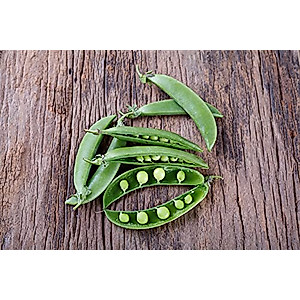 Gaea's Blessing Seeds - Sugar Snap Pea Seeds - Non-GMO Seeds for Planting with Easy to Follow Instructions 94% Germination Rate (Pack of 1)
