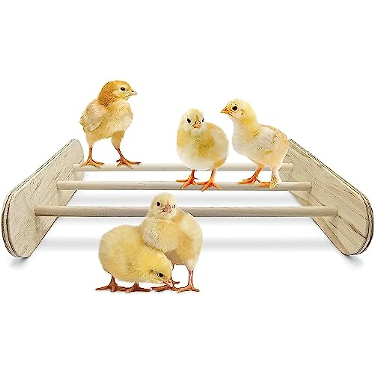 Backyard Barnyard Chick Perch and Mini Chicken Roosting Bar Set (2 Pack) Made in USA!!! Strong Natural Wood Jungle Gym Toys for Brooder and Coop Baby Birds Pollos Gallinas