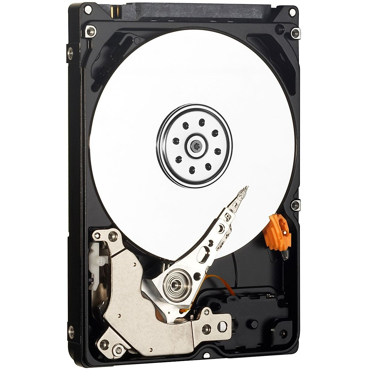 WD AV-25 320 GB AV Hard Drive: 2.5 Inch, 5400 RPM, SATA II, 16 MB Cache - WD3200BUCT