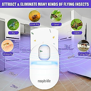 4 Pack Flying Insect Trap Plug In, 2023 Mosquito Gnat Flea Insect Traps Catcher Killer with Night Light & 20 Sticky Trap Boards, Fruit Fly Traps for Indoor Bug Catcher Fly Traps Indoor for Home Office