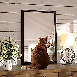 Black Metal Framed Bathroom Mirror: 65 x 22 Inch Bathroom Vanity Mirror for Over Sink - Modern Farmhouse Rectangular Wall Mirror Hangs Horizontal or Vertical Shatterproof