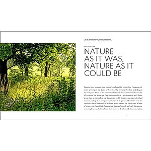 Planting in a Post-Wild World: Designing Plant Communities for Resilient Landscapes