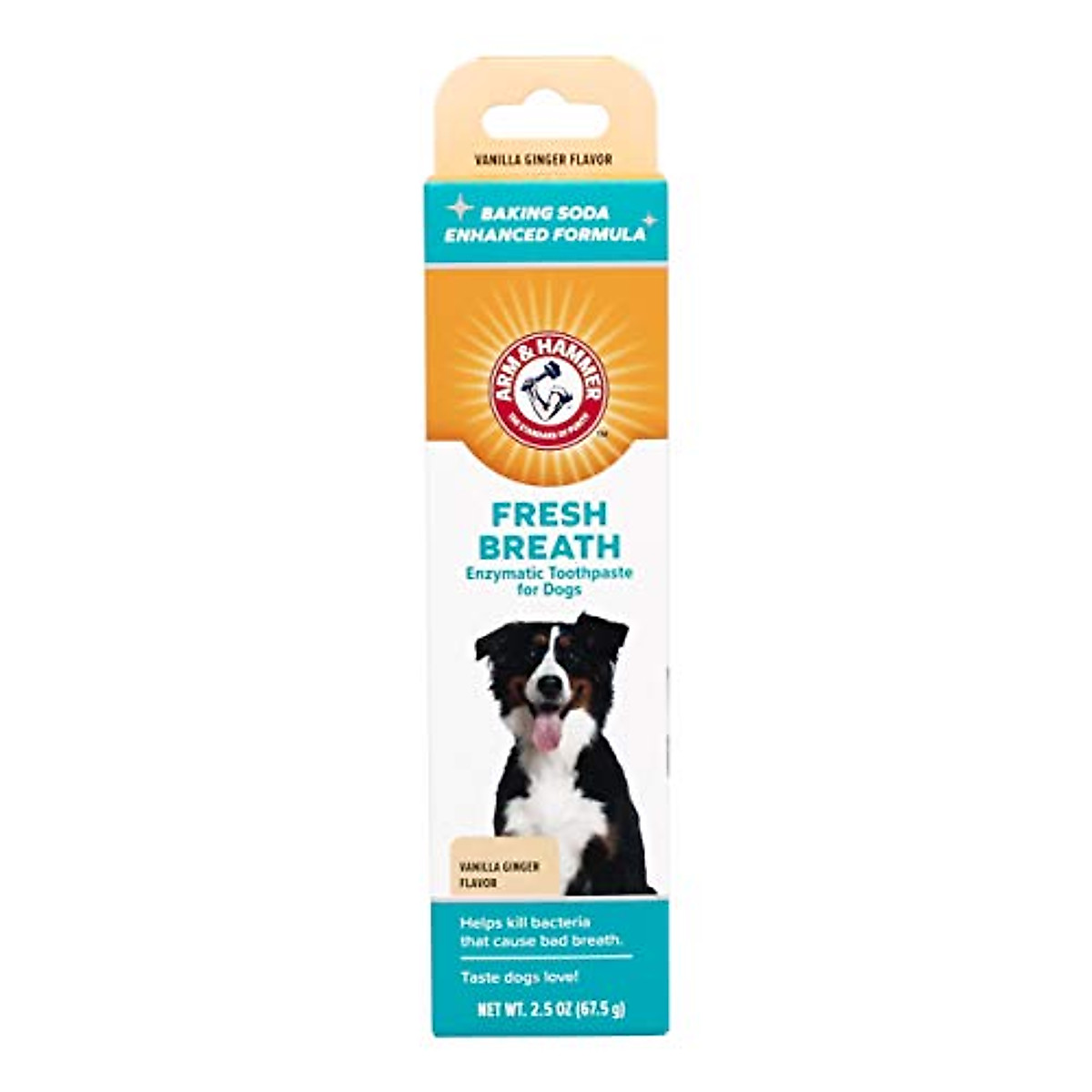 Arm & Hammer for Pets Clinical Care Dental Enzymatic Toothpaste for Dogs | Soothes Inflamed Gums | Safe for Puppies 1 Pack Fresh Breath Vanilla Ginger