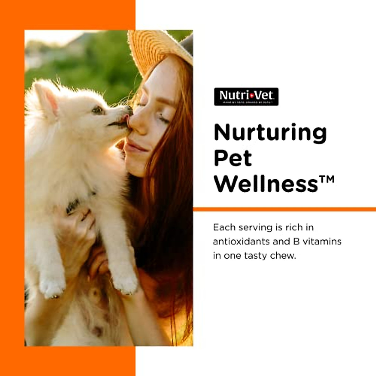 Nutri-Vet Brewer's Yeast and Garlic Chewable Tablets for Dogs - Veterinarian Formulated to Support the Immune System and a Healthy Skin & Coat - 500 Chewable Tablets