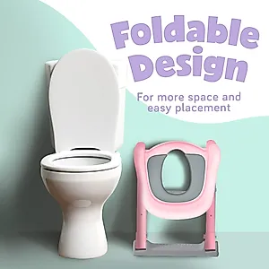 Ashtonbee Mountable Potty Seat (with steps, Pink)