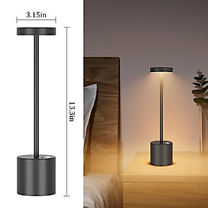 Howskys 2 Pack USB Rechargeable Desk Lamp, Modern LED Cordless Desk Lamp, 5500mAh 3 Tone Light Touch Desk Lamp for Dining Room/Indoor/Outdoor (Black)