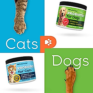 Pet Ultimates Probiotics for Cats – 20-Species Cat Probiotic Powder to Treat Diarrhea, Vomiting, Digestive Support & Cat Antibiotics Recovery – Skin and Coat Supplement for Cats Enhances Vitality– Cat Health Supplies (44 gr)