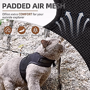 PUPTECK Soft Mesh Cat Vest Harness and Leash Set Puppy Padded Pet Harnesses Escape Proof for Cats Small Dogs Rabbits Bunny, Black XL