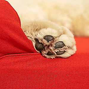 Omlet Memory Foam Bolster Dog Bed | Easy to Clean, Removable and Machine Washable Cover | Orthopaedic | Stylish Geometric Weave Fabric (Large, Christmas Cherry Red)