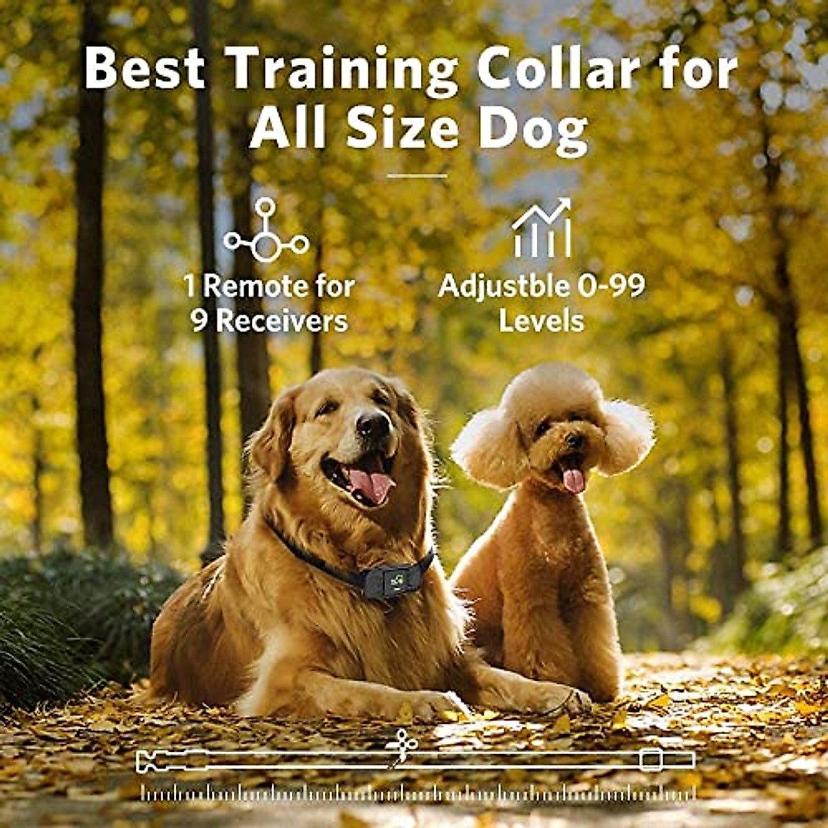 DOG CARE Dog Training Collar for Large Medium Dogs - Dog Shock Collar with Remote, Dog Training Collar with Beep, Vibration, Static Modes, Keypad Lock, 0-99 Adjustable Shock Levels, Long Remote Range