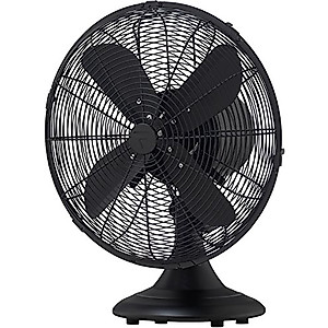 Fanimation FP6274BL Breeze 12 inch, Fan, Black