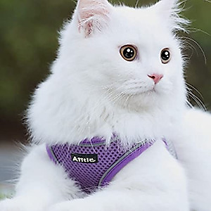 AIITLE Pet Supply No Pull, Step in Adjustable Dog Harness with Padded Vest for All Weather, Easy to Put on Small and Medium Dogs Purple S