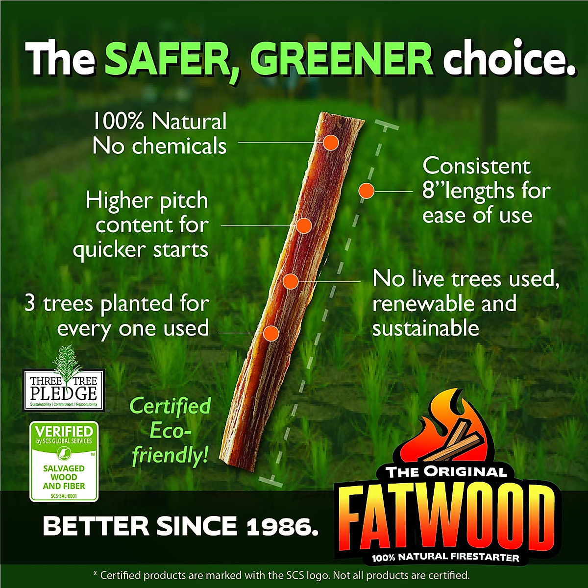 Betterwood 10 Pound Fatwood Natural Pine Firestarter 1 Pack for Campfire, BBQ, or Pellet Stove, Non Toxic and Water Repellent