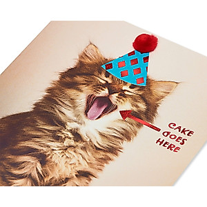 Papyrus Funny Cat Birthday Card (Indulge)