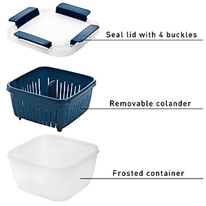 Frcctre 3 Pack 50oz Berry Keeper Box Container Fruit Storage Containers for Fridge, Produce Saver Food Storage Containers with Lid and and Removable Drain Basket (1.5L - Blue, Pink, Green)