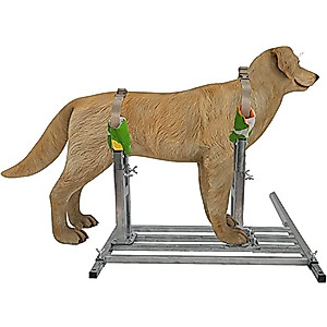 Sonorphine Dog Breeding Stand Stainless Steel Dog Breeding Stand Adjustable Height and Length Pet Fixed Bracket Dog Breeding Accessories Supplies Breeding (L)