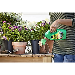 Miracle Gro 1006002 32 Oz Pour & Feed Liquid Plant Food 0.02-0.02-0.02