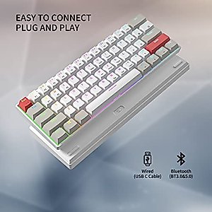 Newmen GM610 60% Wireless Mechanical Keyboard,Wired/Bluetooth RGB Backlit,61 Anti-Ghosting Keys,Programmable,Hot-Swappable Gaming Keyboard,for PC Windows Mac Laptop Computer(Linear Red Switch)