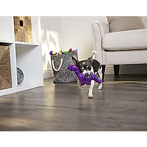 goDog Just For Me Bruto with Chew Guard Technology Plush Dog Toy, Purple, Mini