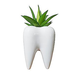 3.93 Inches Tall Tooth Shaped Ceramic Succulent Cactus Vase Flower Pot (Plants Not Included)
