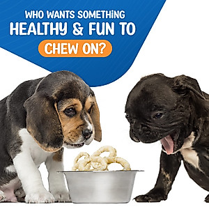 Raw Dog 3" Collagen Ring for Dogs, 100% Beef, Corium Collagen Premium Dog Treats, All Natural Dog Chews, Thick Chew Circles for Dogs