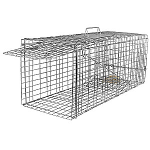ECOOOL Large Live Animal Trap Cage 30""x11""x12"" Collapsible Heavy Duty Humane Live Animal Trap for Raccoons,Squirrel,Cats,Gopher,Beavers,Chipmunk,Groundhogs,Shunks,Easy to Catch and Release, Silver