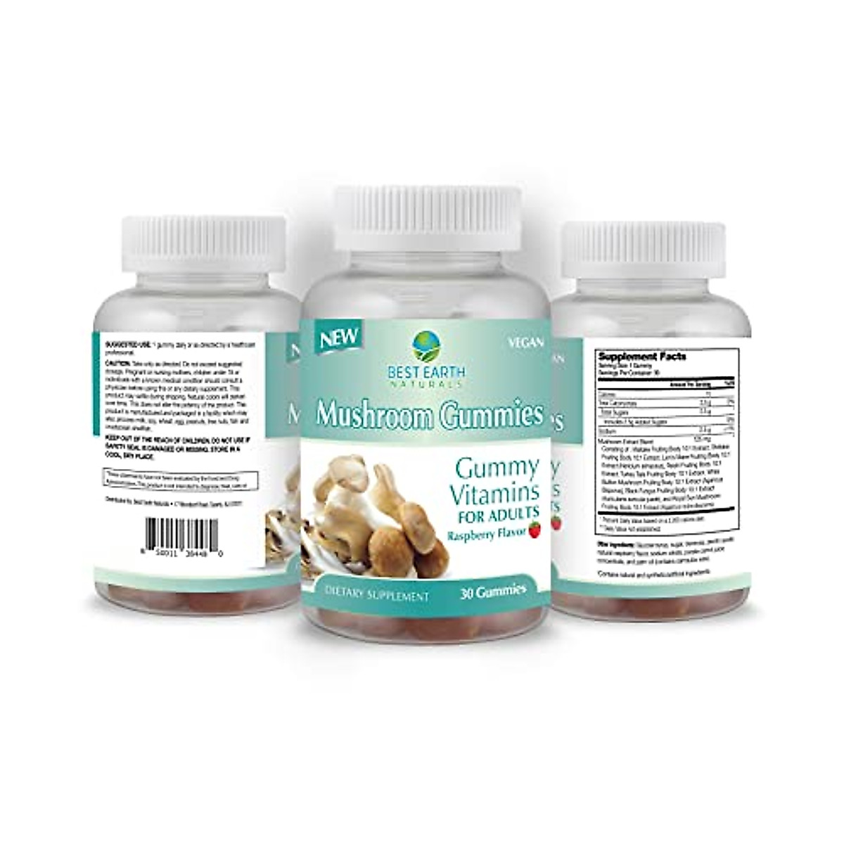 Best Earth Naturals Mushroom Gummy Vitamins Raspberry Flavor with Lion's Mane, Reishi, Cordyceps, Chaga, Maitake, Shiitake and More, 30 Count