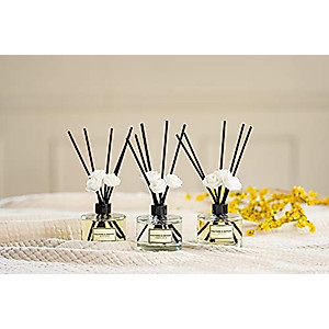 CULTURE & NATURE Reed Diffuser 6.7 oz (200ml) Black Cherry Scented Reed Diffuser Set