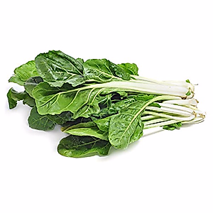 Silver Ice Swiss Chard, 300 Heirloom Seeds Per Packet, (Isla's Garden Seeds), Non GMO Seeds, Botanical Name: Beta vulgaris VAR. cicla