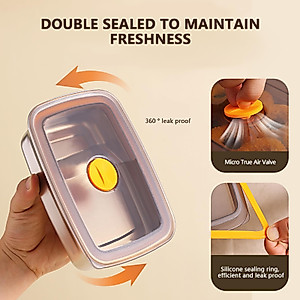 TRBIDRBO 2 PCSFood Storage Containers with Lids Airtight (2 Containers & 2 Lids), Leak proof Storage Box Meat Container for Fridge Nestable Dishwasher Freezer Safe