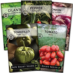 Sow Right Seeds - Salsa Seed Collection for Planting - Jalapeno, Cilantro, Roma Tomato, Tomatillo, and Red Onion - Non-GMO Heirloom Seeds with Instructions to Plant Your Own Home Vegetable Garden