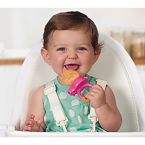 Munchkin Fresh Food Feeder - Blue/Green