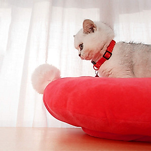 PJDDP Flamingo Plush Pet Bed for Small Cats and Dogs, Red, L