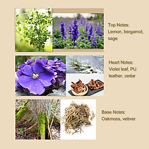 LUCKDANO 50ml Eau De Toilette for Men Woody Fragrance Perfume Romantic Aromatic Light Cologne with Captivating Scent Lemon Violet Leaf Oakmoss Ideal Gift