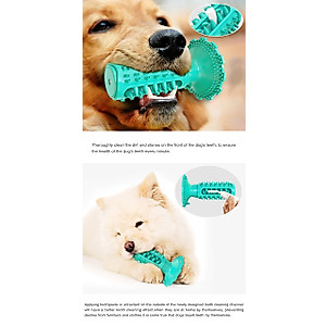 Dog Toothbrush Chew Toy Puppy Toys Teeth Cleaning Stick Natural Rubber Dental Care Toothbrush, Dog Toys （for Medium and Large Dogs）