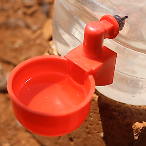 Chicken Water Cups, 6pcs Automatic Chicken Water Feeder, Poultry Waterer Kit Suitable for Chicks, Duck, Goose, Turkey and Bunny, 6-Pack