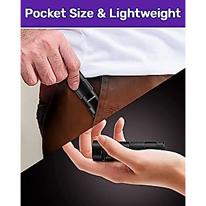 morpilot Blacklight Flashlights uv Flashlight: 12 Led 395nm 2 Pcs Black Light Flashlight Mini, Pet Urine Detector Light for Dog/Cat, Dry Stains, Resin Curing, Bed Bug