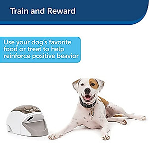 PetSafe Treat & Train - Remote Treat Dispensing Dog Training System, Positive Reinforcement, Calm Behavior, Distraction Avoidance, Includes Training DVD, Target Wand & Remote, For Dogs 6 Months & Up