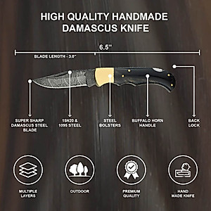 Lara Eagle Damascus Pocket Knife for Men - 133 Layer Solid Steel Handmade Folding Hunting Knives with Sharpner and Leather Pouch - Best Knife for Camping Hunting Hiking - Father’s Day Gifts for Men Husband Dad (Buffalo Horn Handle)