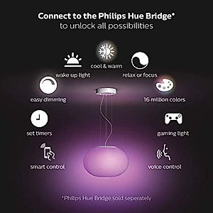 Philips Hue Flourish White & Color Ambiance Smart Pendant Lamp, Compatible with Alexa (Requires Hue Hub)