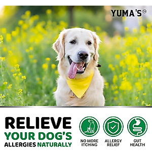 YUMA'S 2-Pack Dog Allergy Relief Chews - Dog Itching Skin Relief Treatment Pills - Anti-Itch for Dogs - Itchy and Paw Licking - Dry Skin & Hot Spots - Omega 3 Fish Oil - Skin & Coat Supplement