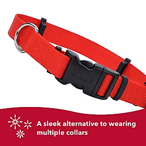 Coastal Pet SecureAway Collar Protector for Flea Collars - Dog Collar Accessory - Protective Collar for Flea Collar for Dogs - Adjustable Dog & Puppy Collar Protection - Red, 1" x 14-20"