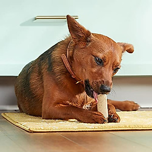 Rachael Ray Nutrish Soup Bones Dog Treats, Chicken & Veggies Flavor, 11 Bones