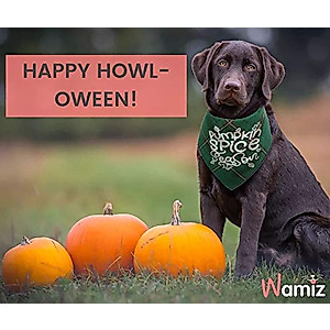 Thanksgiving Dog Bandana,Fall Bandanas for Puppy Cat Small Large Dogs