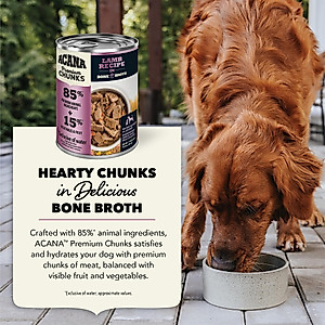 ACANA Premium Chunks Wet Dog Food, Lamb Recipe in Beef Bone Broth and beef liver, 12.8oz (Case of 12)