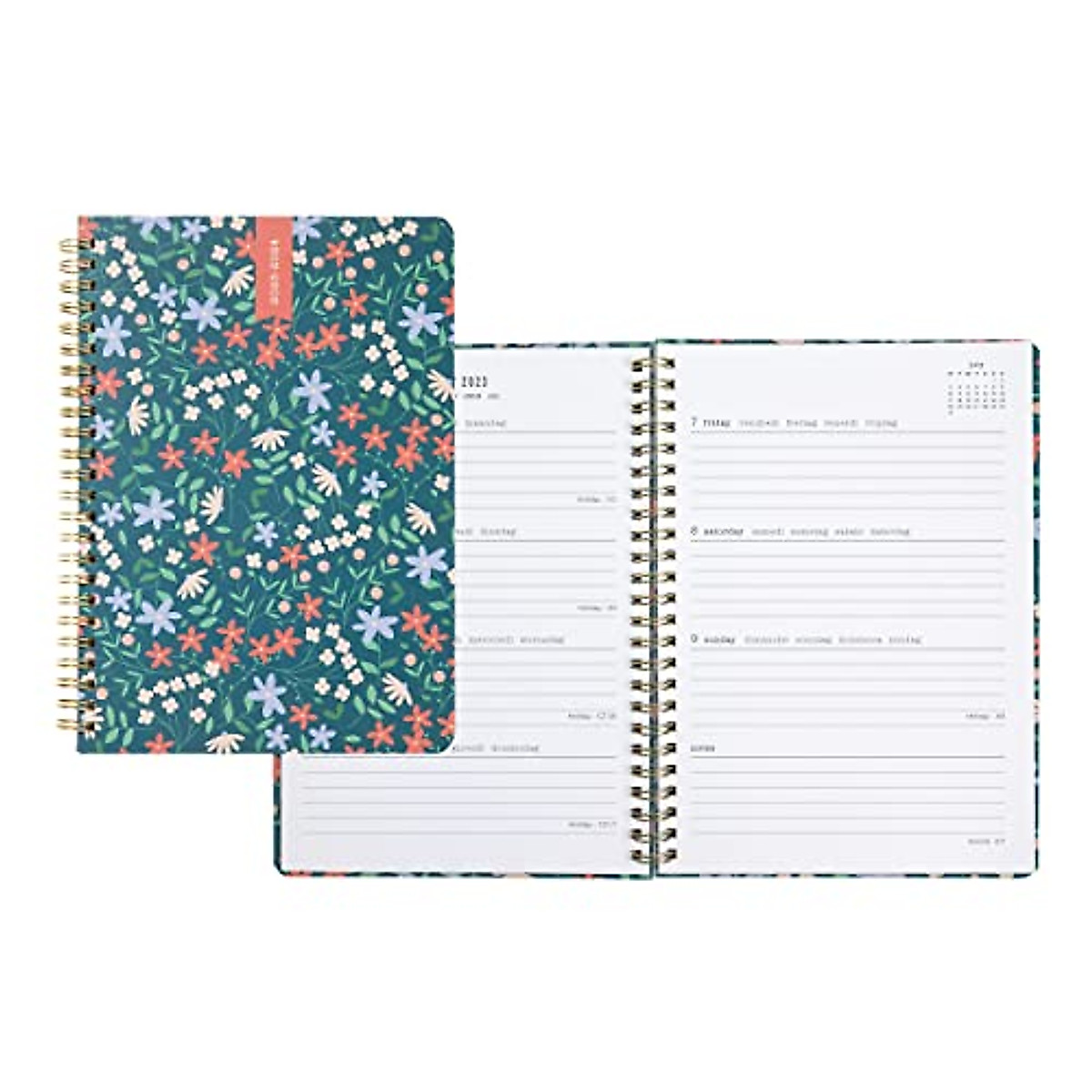 Letts Spring Valley Academic Weekly/Monthly Planner, 18 Months, July 2023 to December 2024, Week-to-View, Wiro Binding, Multilingual, A5 Size, 8.25" x 5.875", Green (C031798-24)