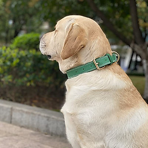 Leather Dog Collar for Medium Dogs with Braided Leather Dog Leash 4 Foot x 5/8"