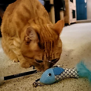 Cat Caster Fishing Pole Toy | Tangle Free, Retractable & Easy to Store. Includes Two Interchangeable Teaser Toys | The Ultimate Gift for Kitty Lovers, Fish Bone
